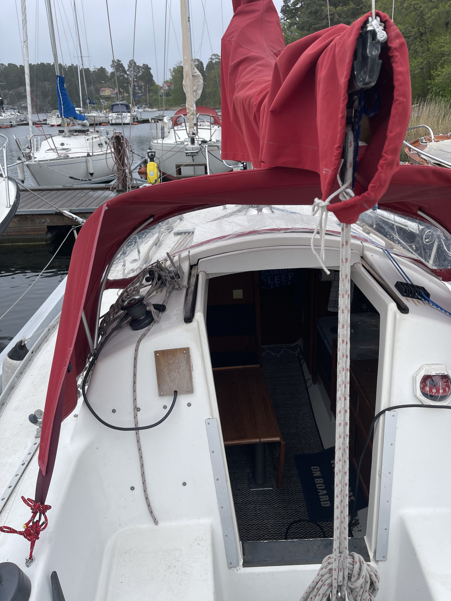 Albin Accent | Skipperi