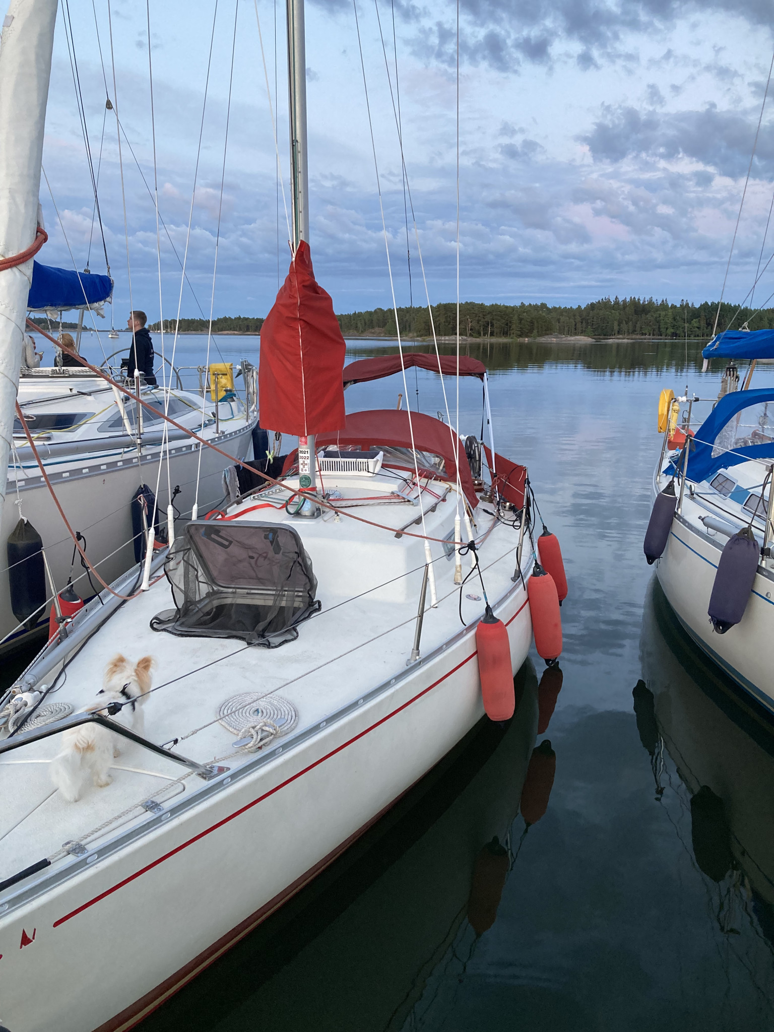 Albin Accent | Skipperi