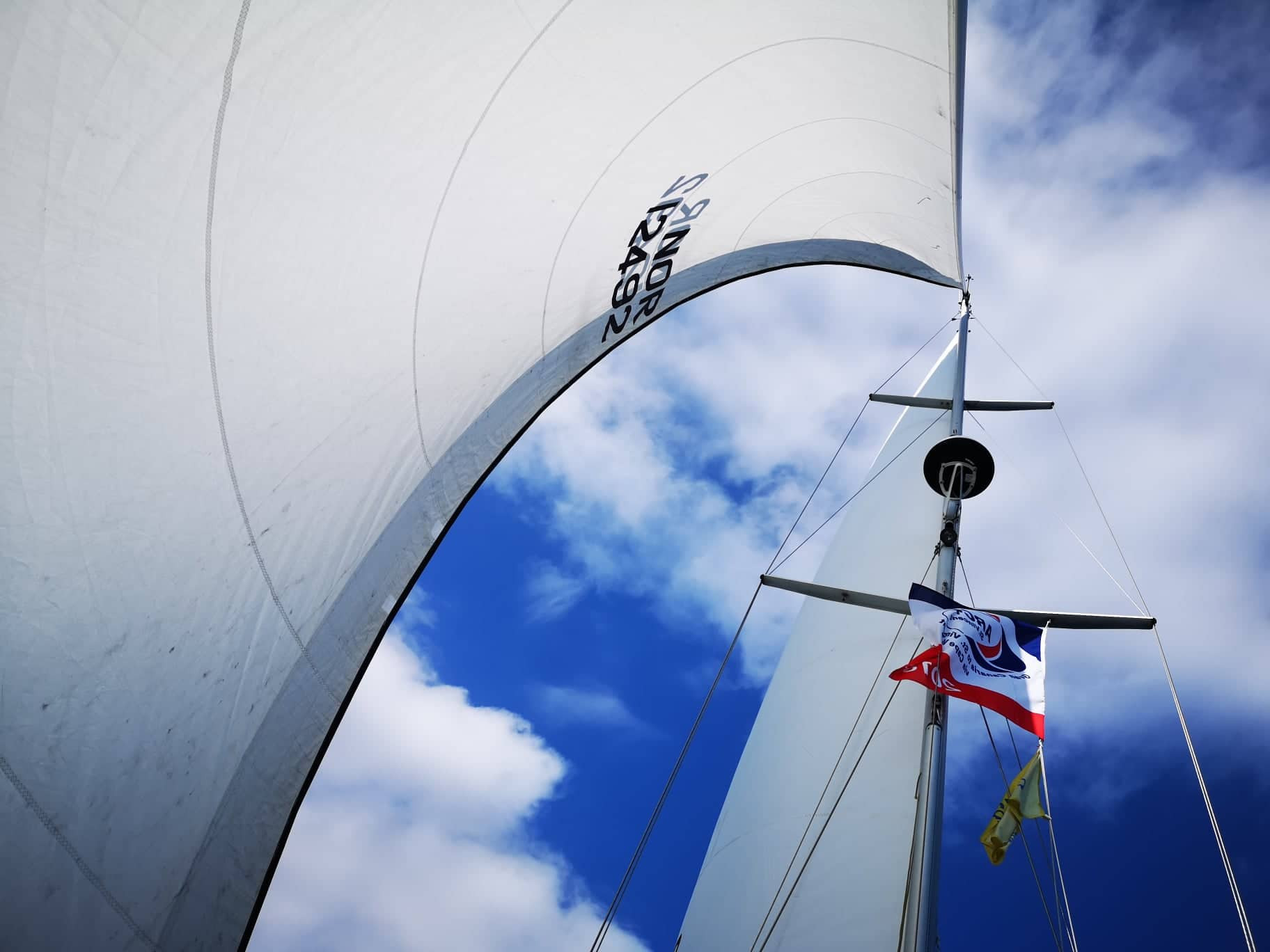 Feeling 486 | Skipperi